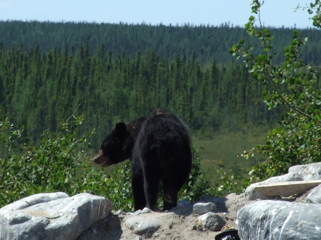Chisasibi Quebec – BluePrintForLife.ca